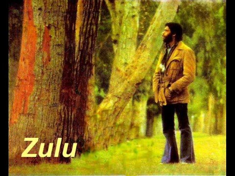 Zulu – Zulu (2021, Orange, Vinyl) - Discogs