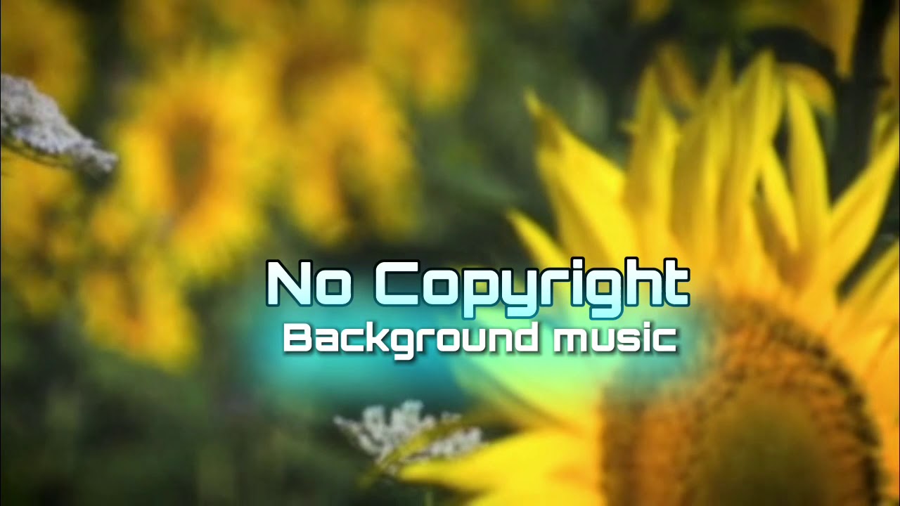 Free non-Copyrighted background music - YouTube
