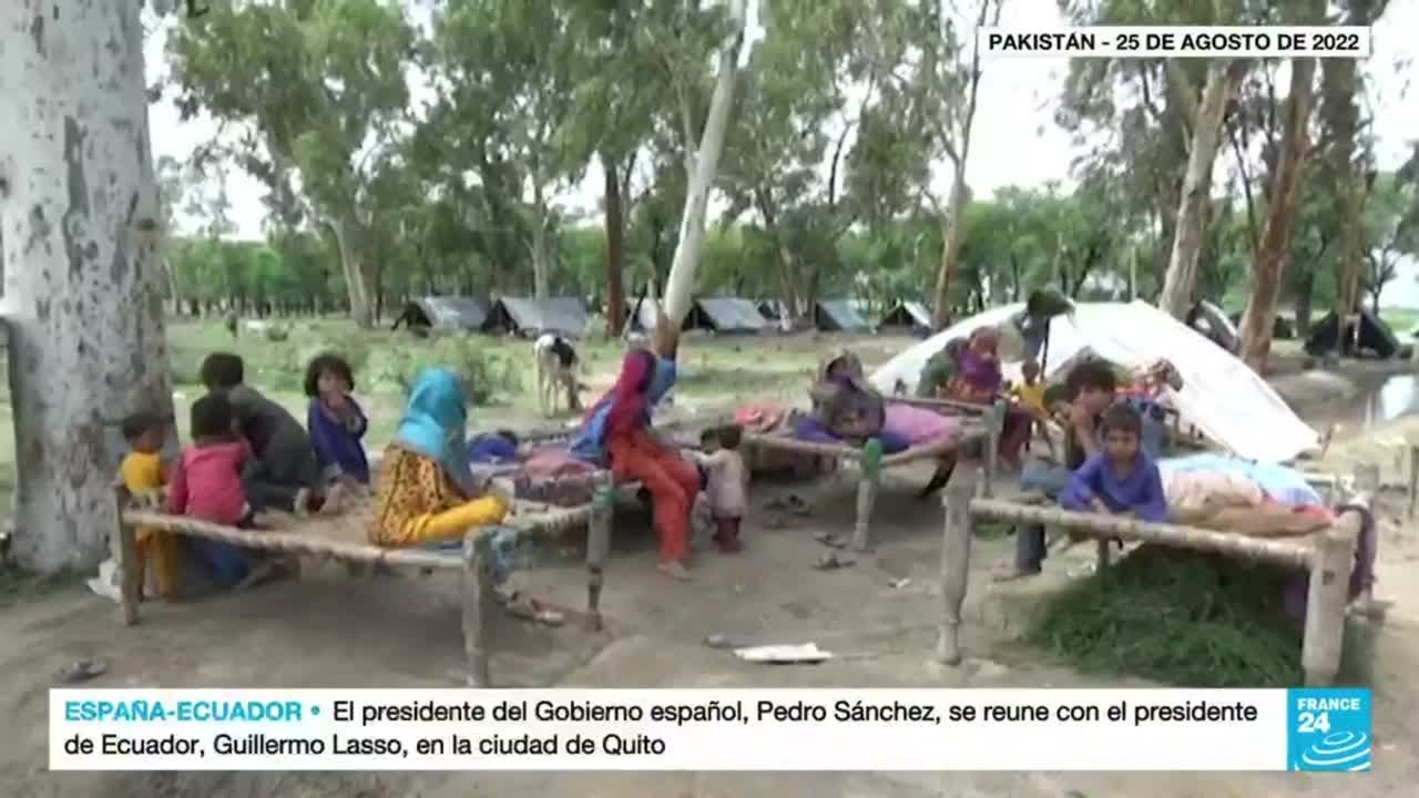 Lluvias Torrenciales Dejan Más De 33 Millones De Afectados En Pakistán