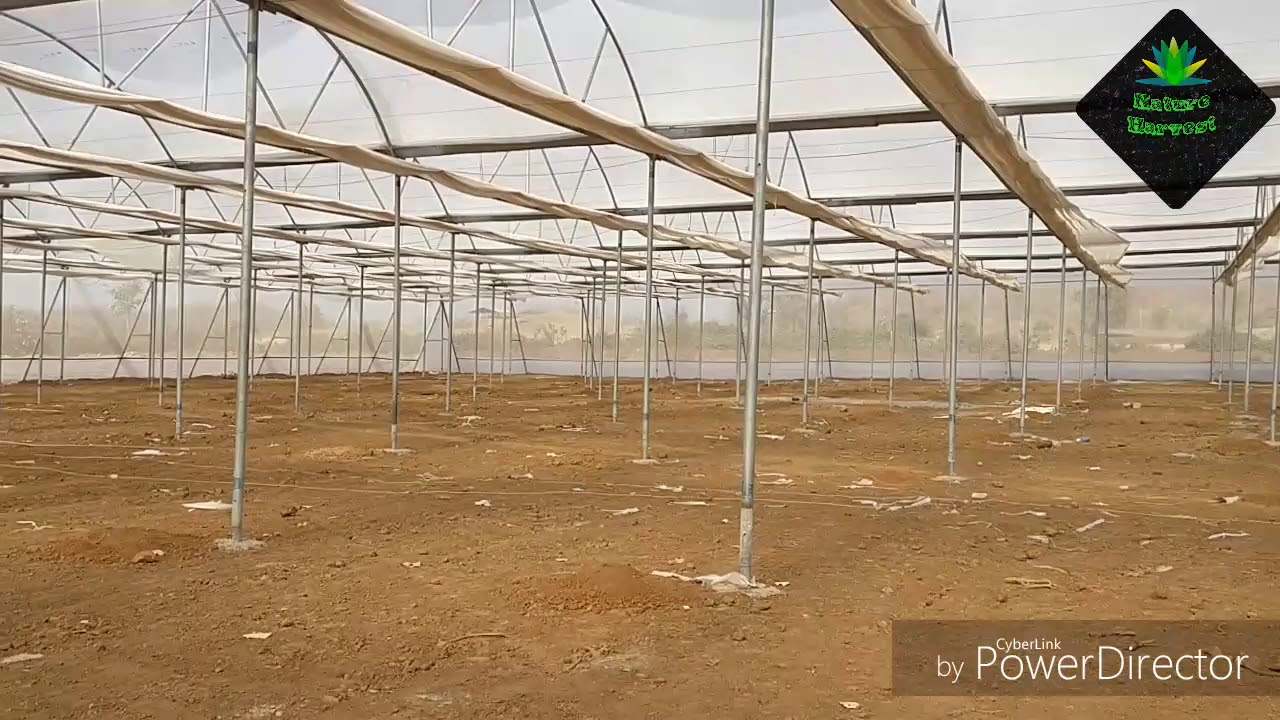 Polyhouse Construction (Basic Information) - YouTube