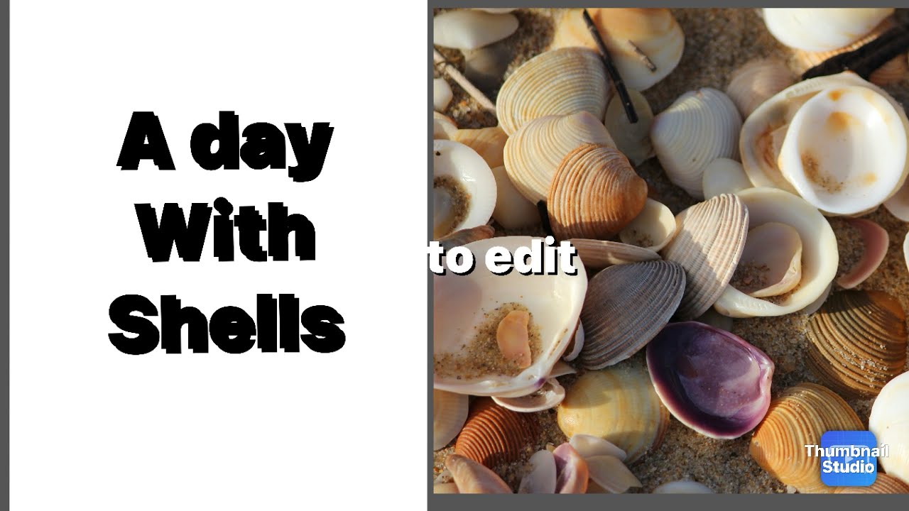 A day with shells | with full body on fun | learn with akaasa - YouTube
