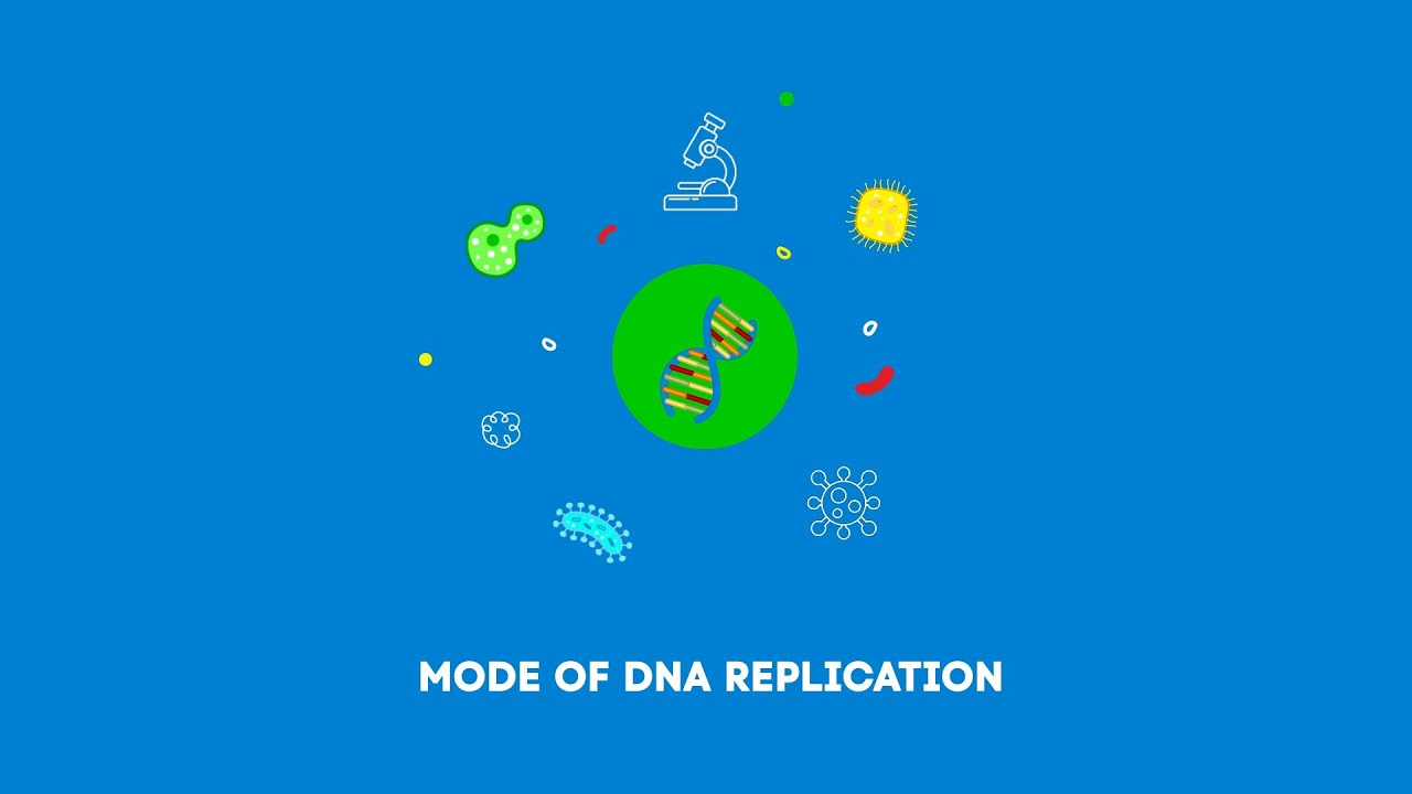 Mode of DNA replication | Complex Made Easy - YouTube