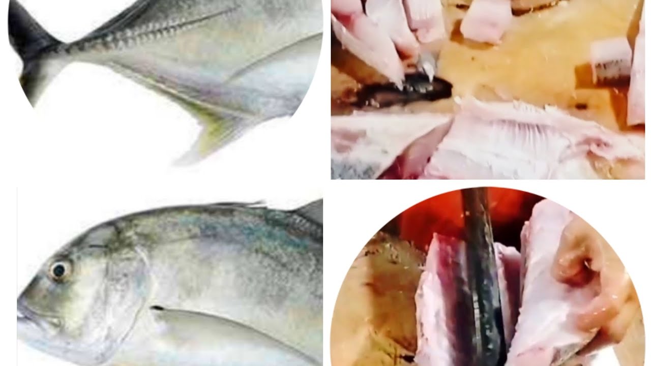 vk1 fish cutting Trevally fish cutting (vatta) - YouTube