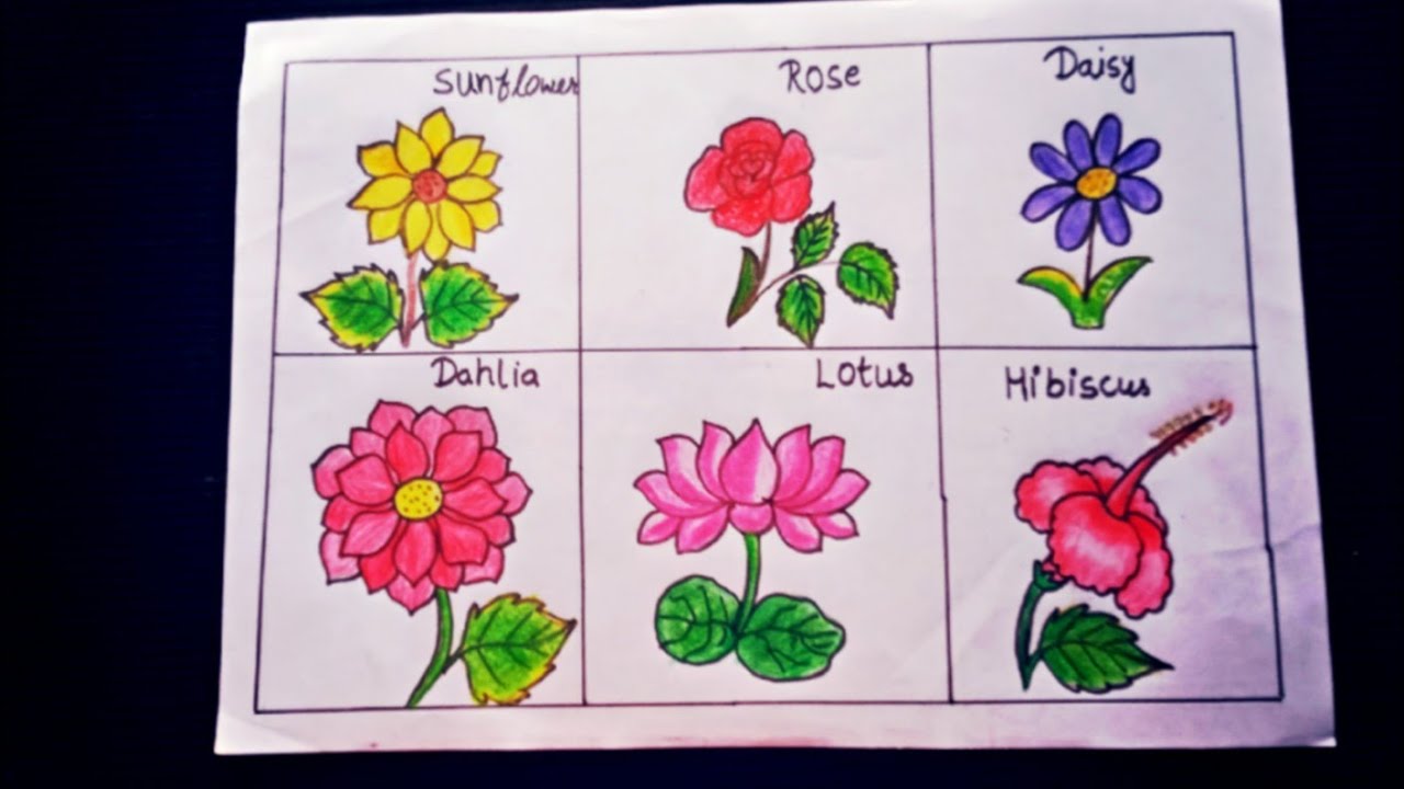 How to draw different types of flower drawing|flower drawing easy|AtoZ ...