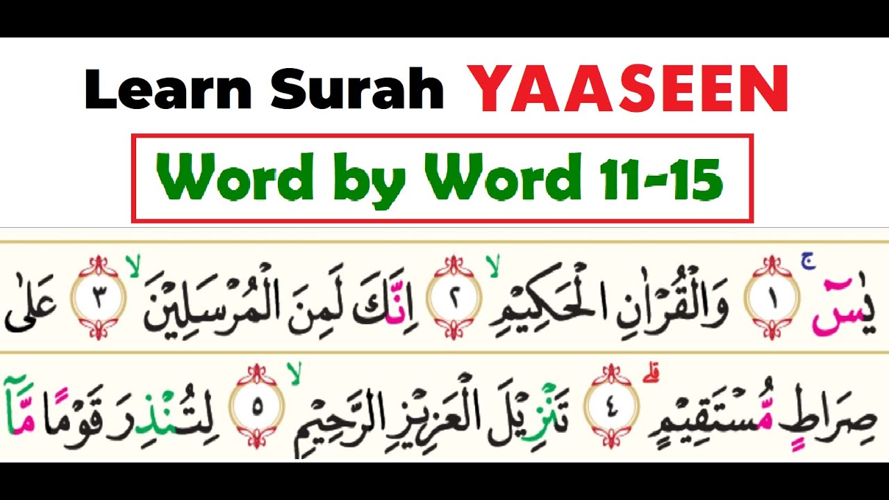 Learn How To Read Surah Yasin ( يٰسٓ ) Word by word 11-15 | Read Quran ...