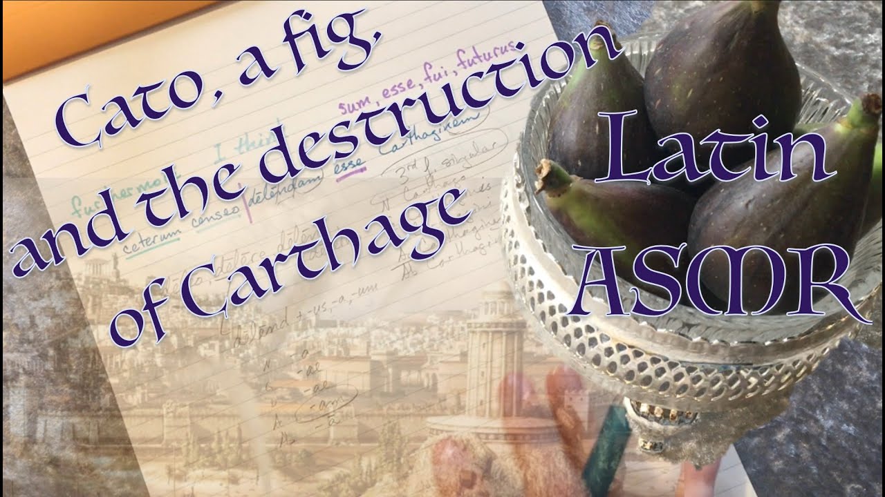 Cato, a Fig, and the Destruction of Carthage 🍊🏛 Latin ASMR - YouTube