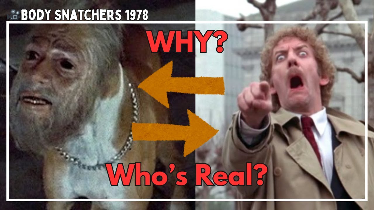 Invasion of the Body Snatchers Explained | Full Movie Breakdown ...
