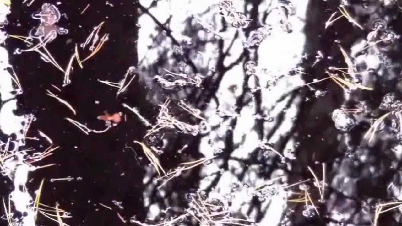 Extension "The mirror" - YouTube