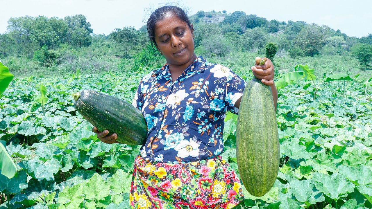 Our home-made traditional pumpkin curry..( A healthy meal)..village ...
