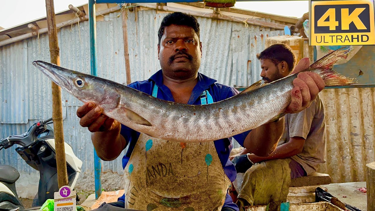 Kili Meen cutting video/Fishcuttingrs #fishcuttingrs #kasimedu #fish ...