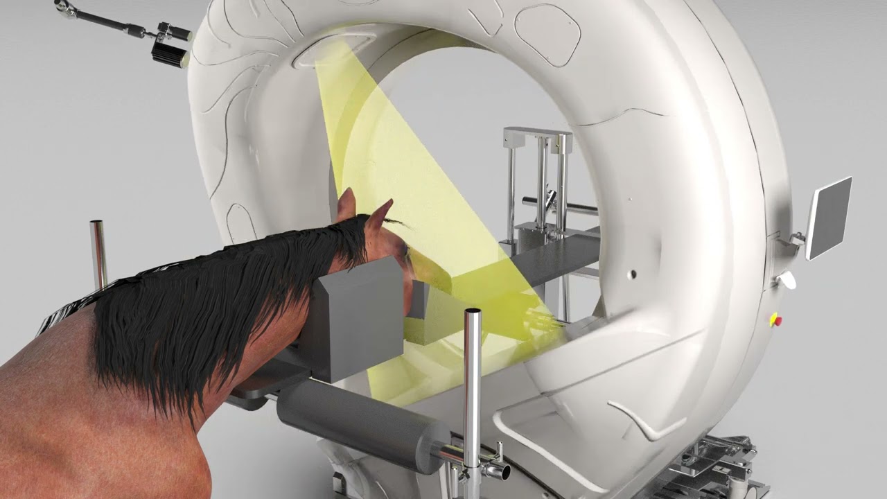 Pegaso Evolution Overview - Horse CT Scan - an Epica product - YouTube