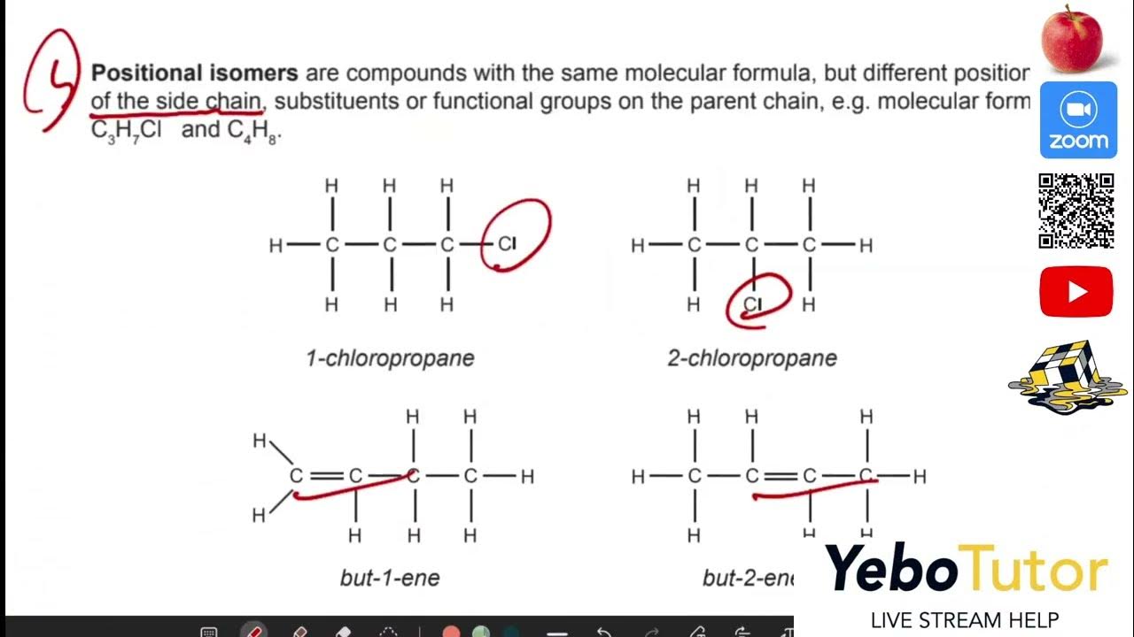 Grade 12 Physical Sciences | Organic Chemistry Overview | Exam Practice ...