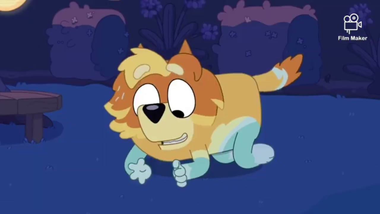 bluey law and order moments - YouTube