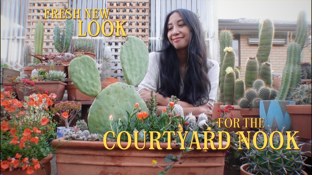 🌵🌸 I'm finally happy with how the courtyard looks! - YouTube