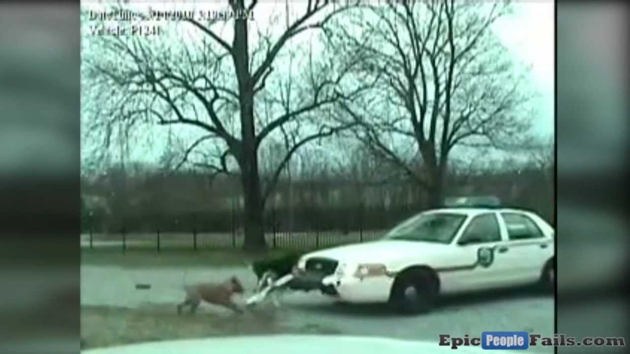Dog Eats Cop Car - Police Epic Fail! - YouTube