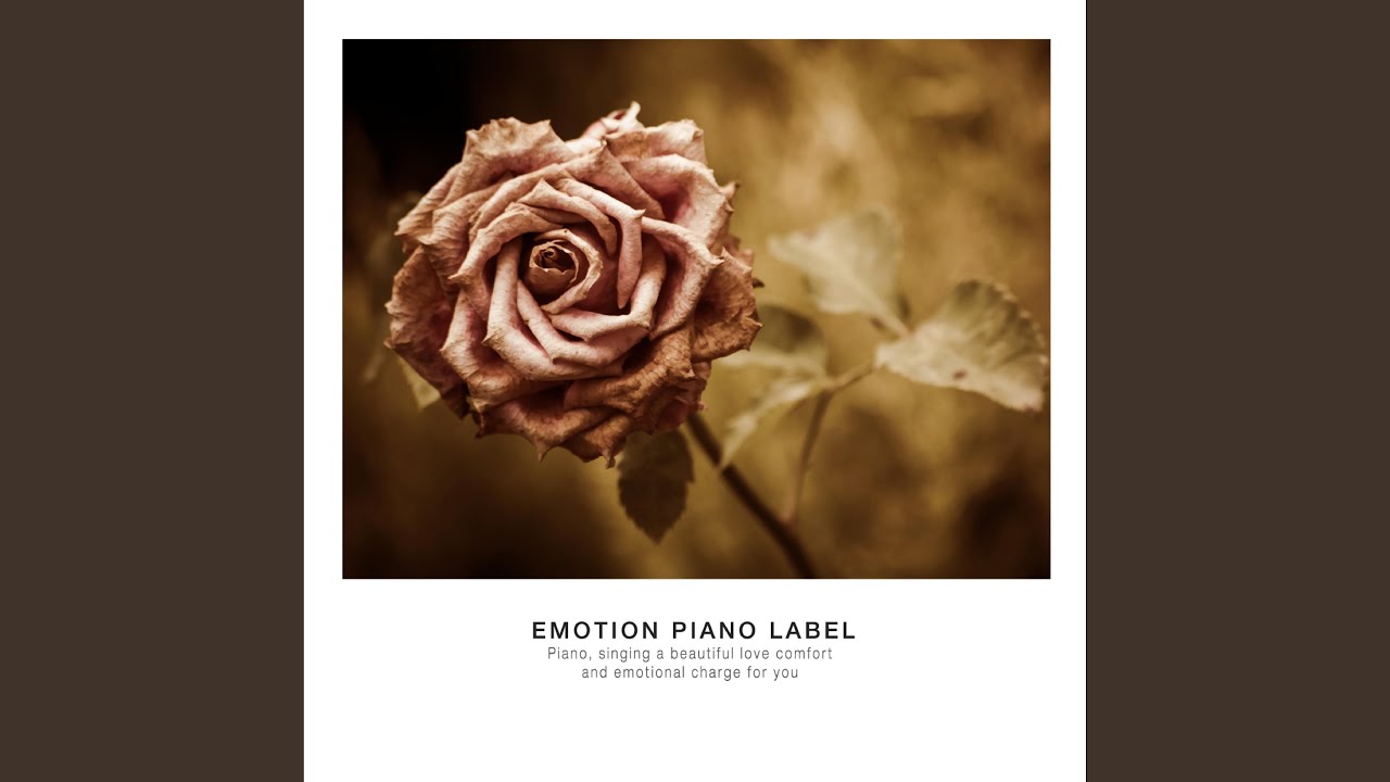 Sad Freedom - YouTube