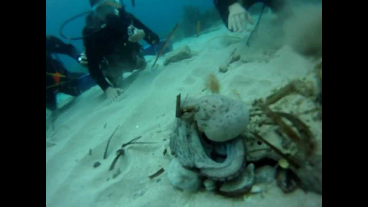Scuba Activa - Discover Scuba Diving & Octopus - YouTube
