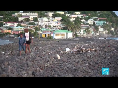 Dominique : des passeports dorés pour remplir les caisses de l'État • FRANCE 24