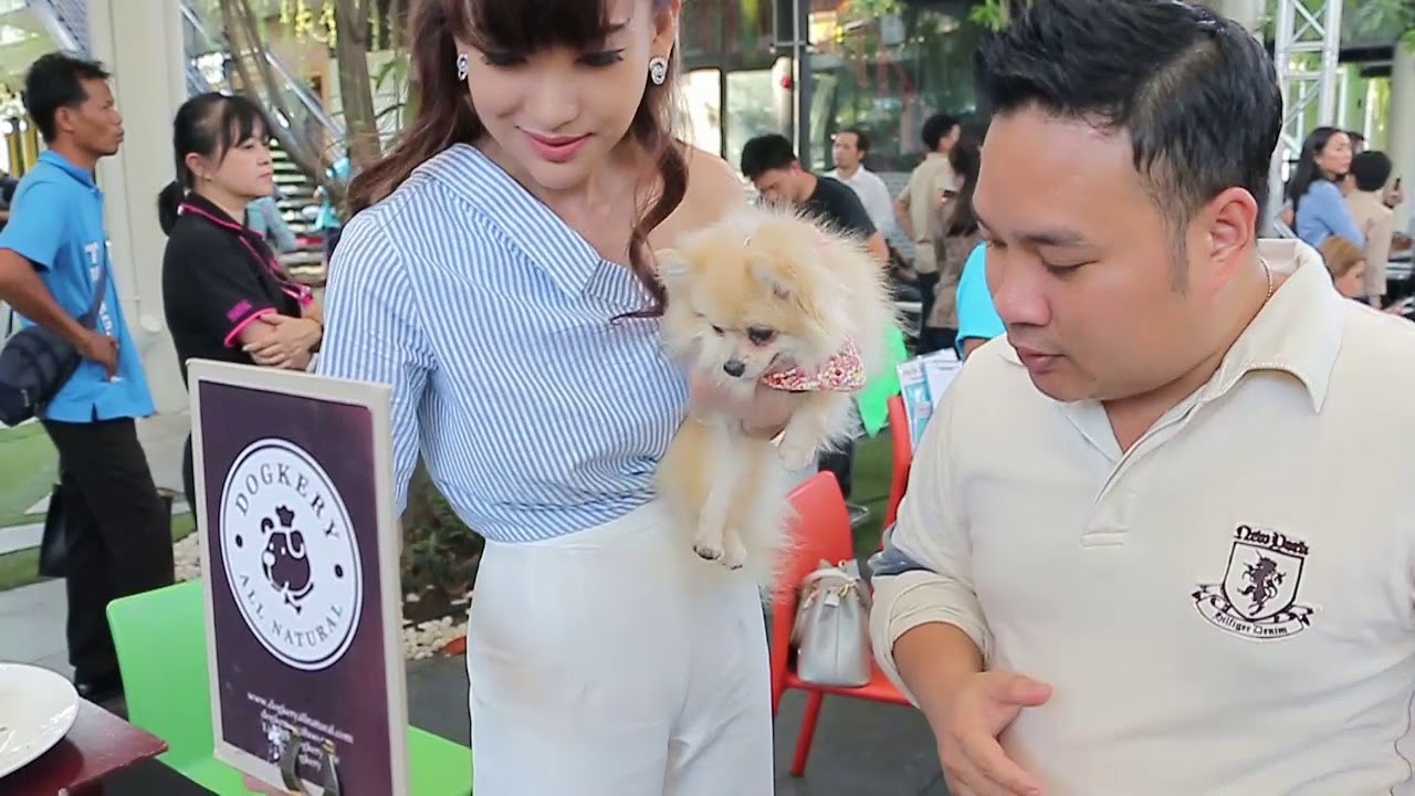 Grand Opening Of AEON Pet Shop @ CDC - YouTube