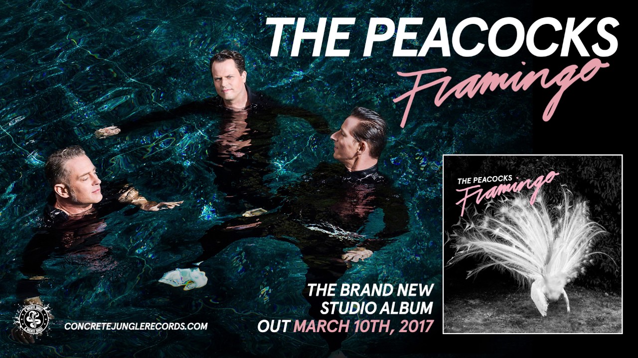 The Peacocks - A Lie and a Cheat (Album Track) - Concrete Jungle ...