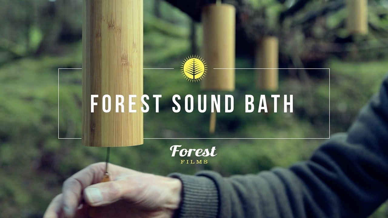A forest sound bath, elemental chimes played in the woods - earth, air ...