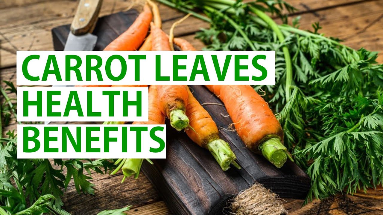 The Amazing Health Benefits of Carrot Leaves You Need to Know - YouTube