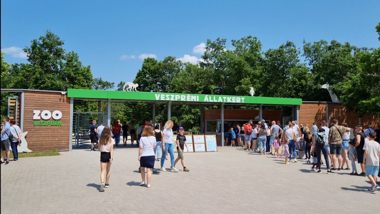 Veszprémi Állatkert 2023 Youtube