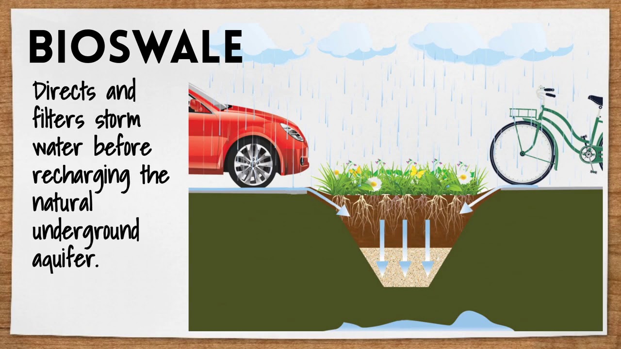 Bioswale - YouTube