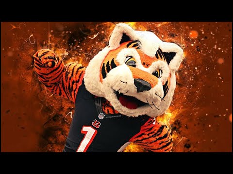 Who Is The Cincinnati Bengals Mascot