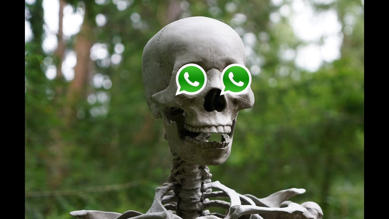 top 10 whatsapp skeletons - YouTube