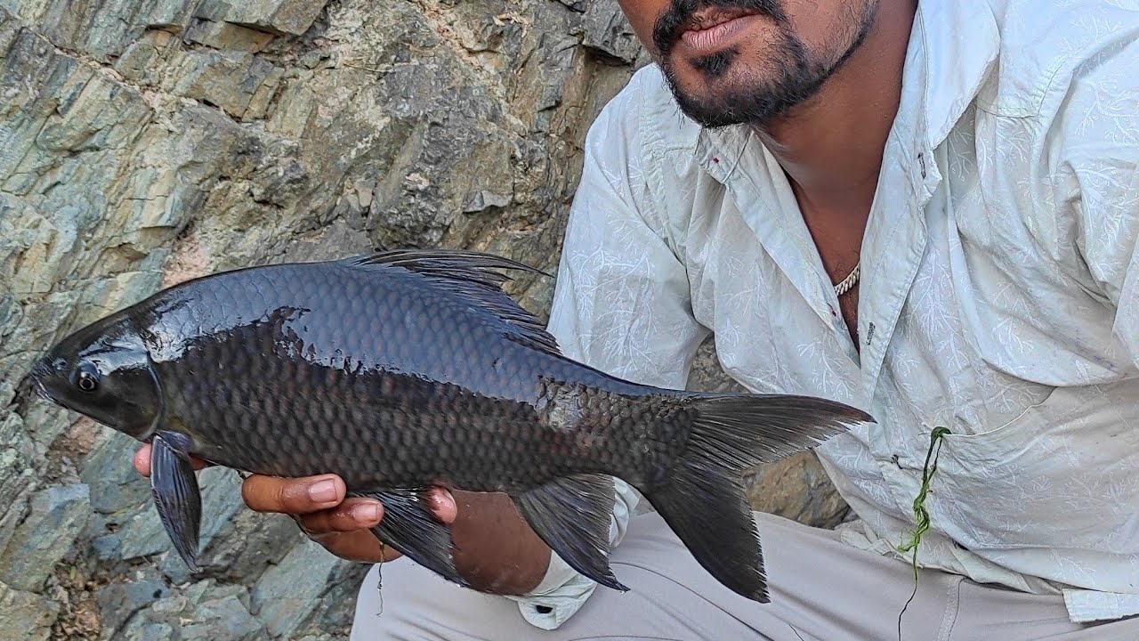 jilebi fishing #short video super Panch bi Jalebi super video - YouTube