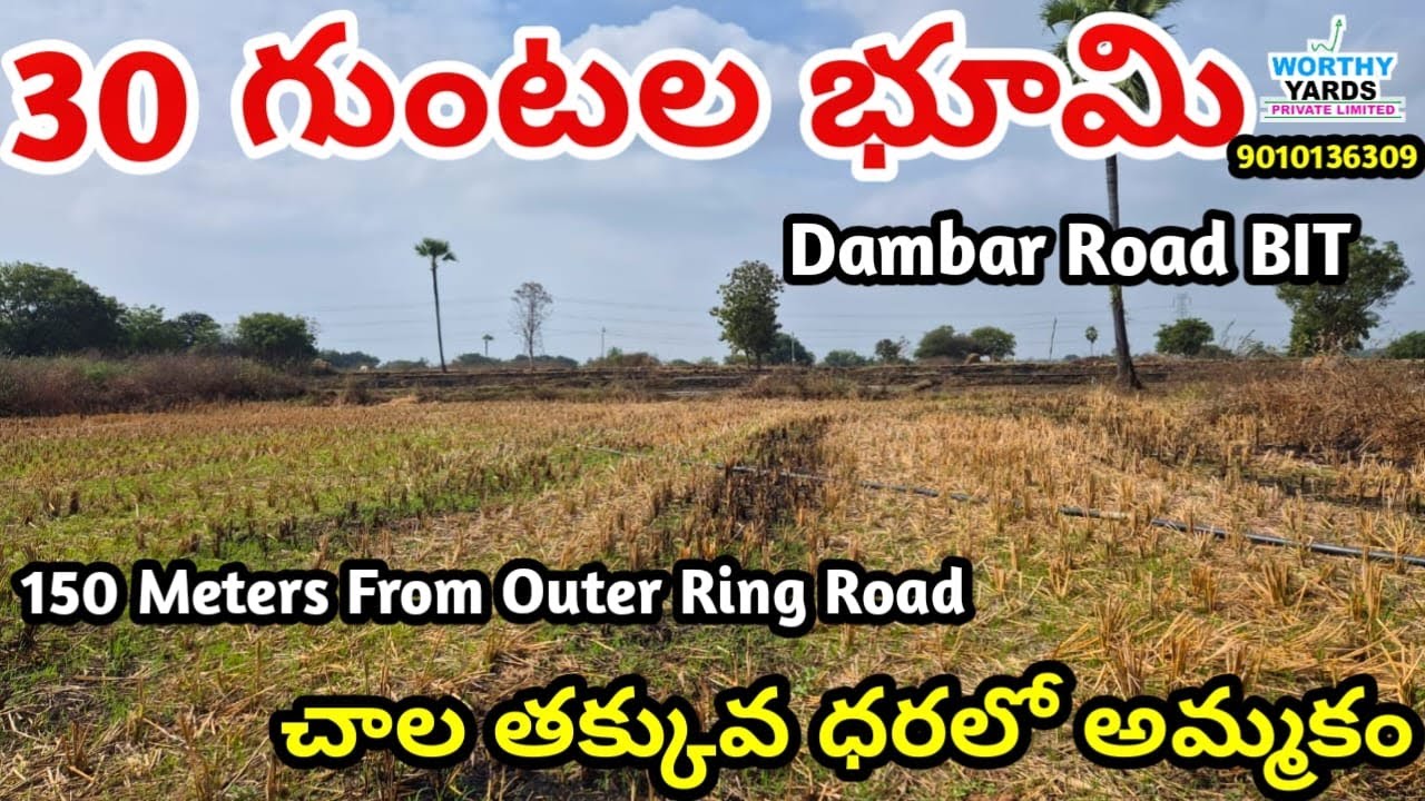 Agriculture Land For Sale |BT Road BIT|#agriculturelands #farmlands # ...