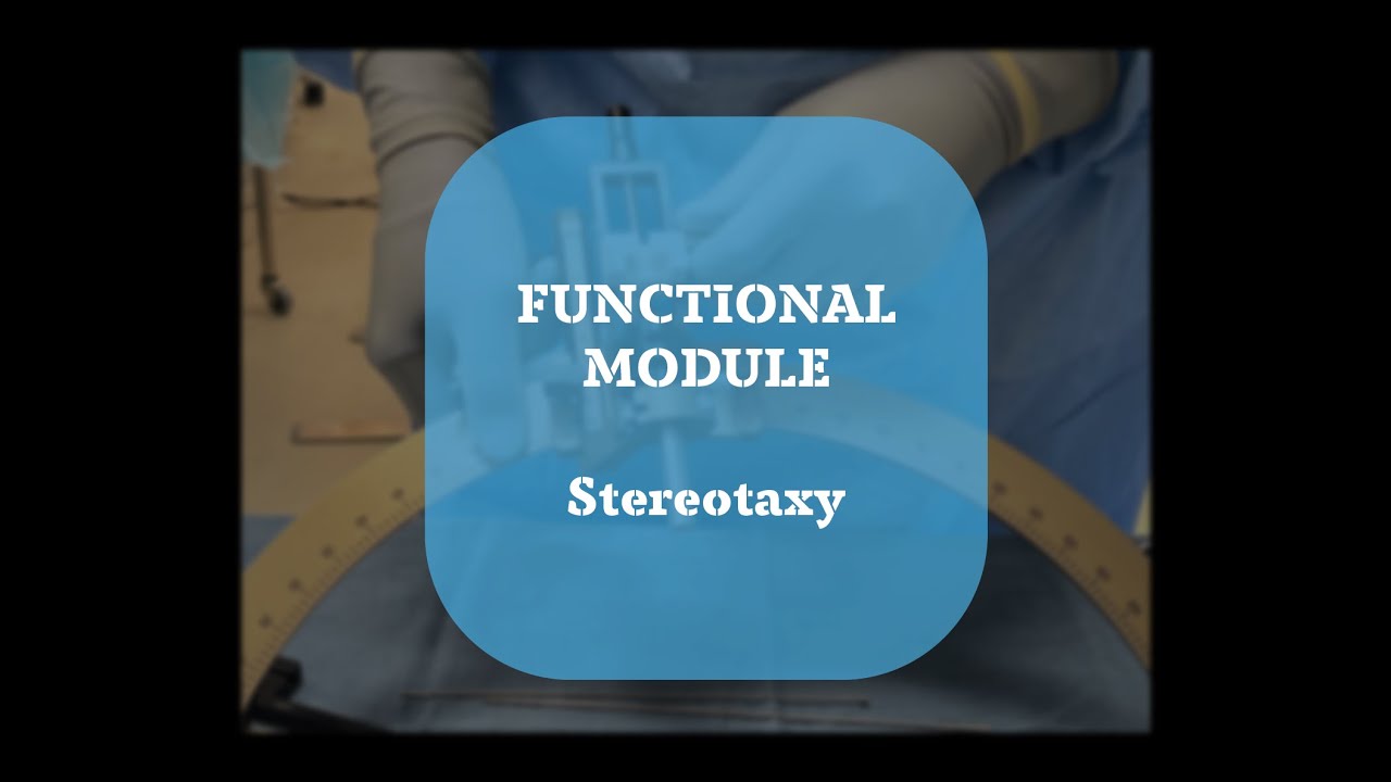 Neurosurgery Basics Lecture : Functional - Stereotaxy - YouTube