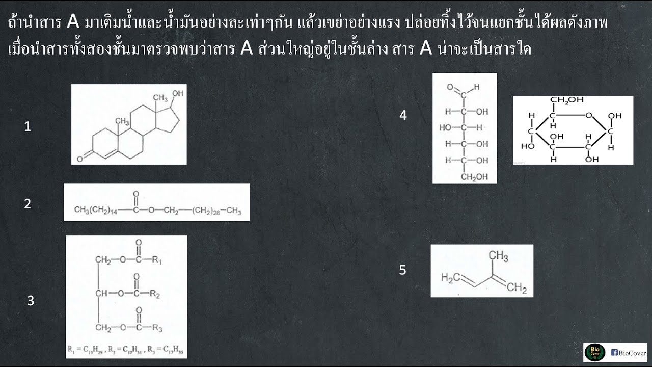 ชีววิทยา เฉลย 9 วิชาสามัญ 59 ข้อ 3 : like dissolves like - YouTube