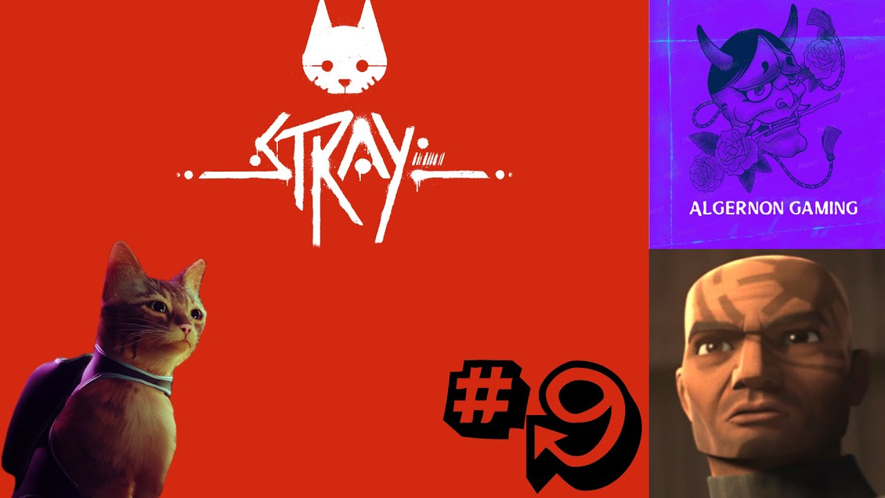 Enewgy Dwink :3 | Stray Playthrough #9 - YouTube