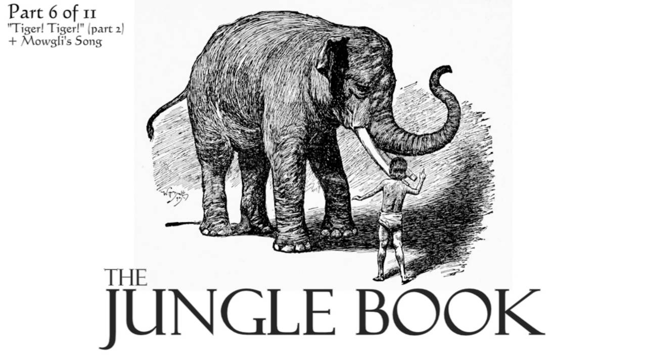 Part 6 | The Jungle Book Audiobook (6/11) - YouTube