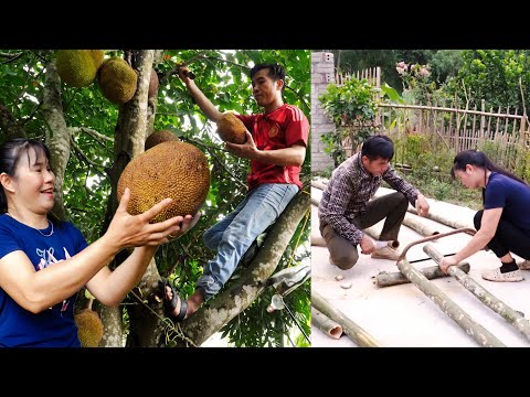 Surprised By the achievements resulting from Mến and Thúy's hard work in agriculture.