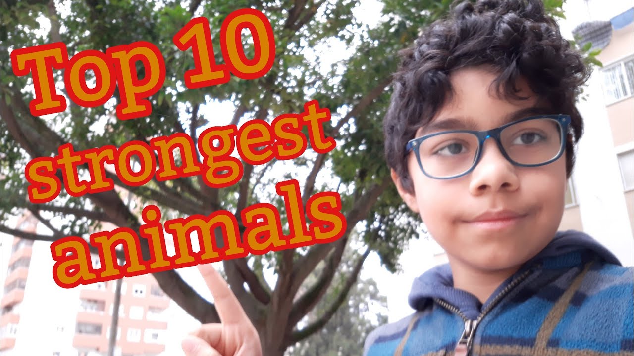 Top 10 Strongest animals in the world|MAK & MIK Brothers - YouTube
