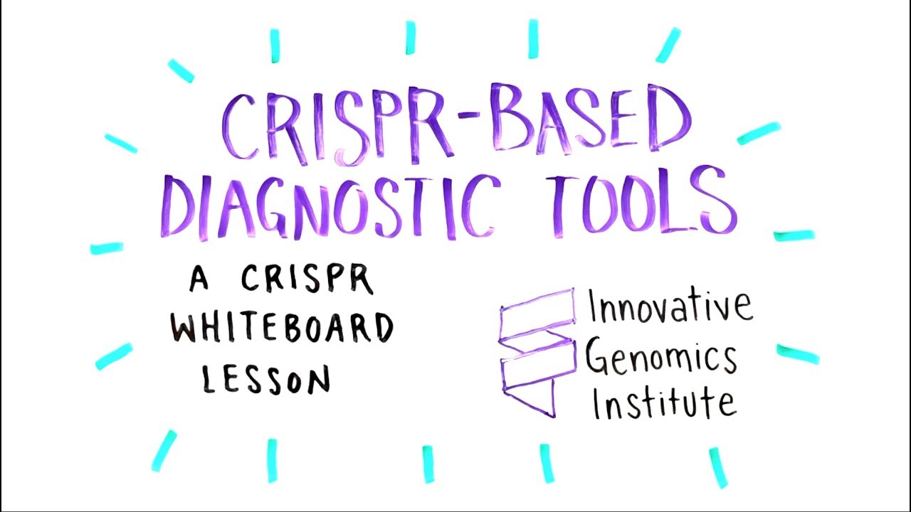 CRISPR-Based Diagnostic Tools - A CRISPR Whiteboard Lesson - YouTube