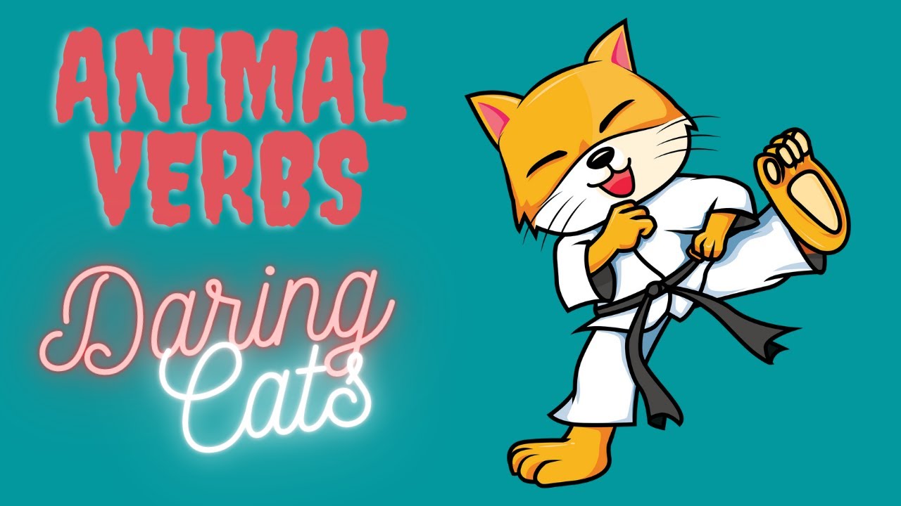 OMG So Daring Cats 😼😾 #cat #animals #reaction #catreaction #funny #cute ...