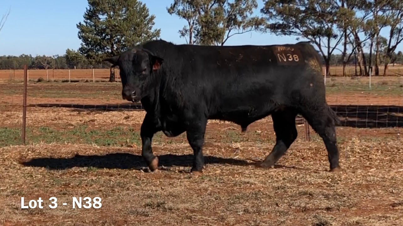 Lot 3 - N38 - YouTube