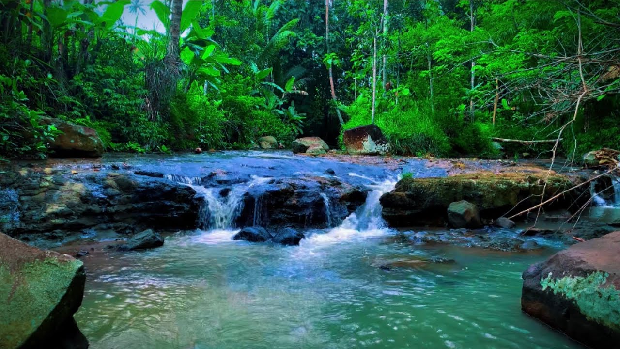 Calm Music for Peace and Relaxation, Peaceful calming music for Anxiety ...