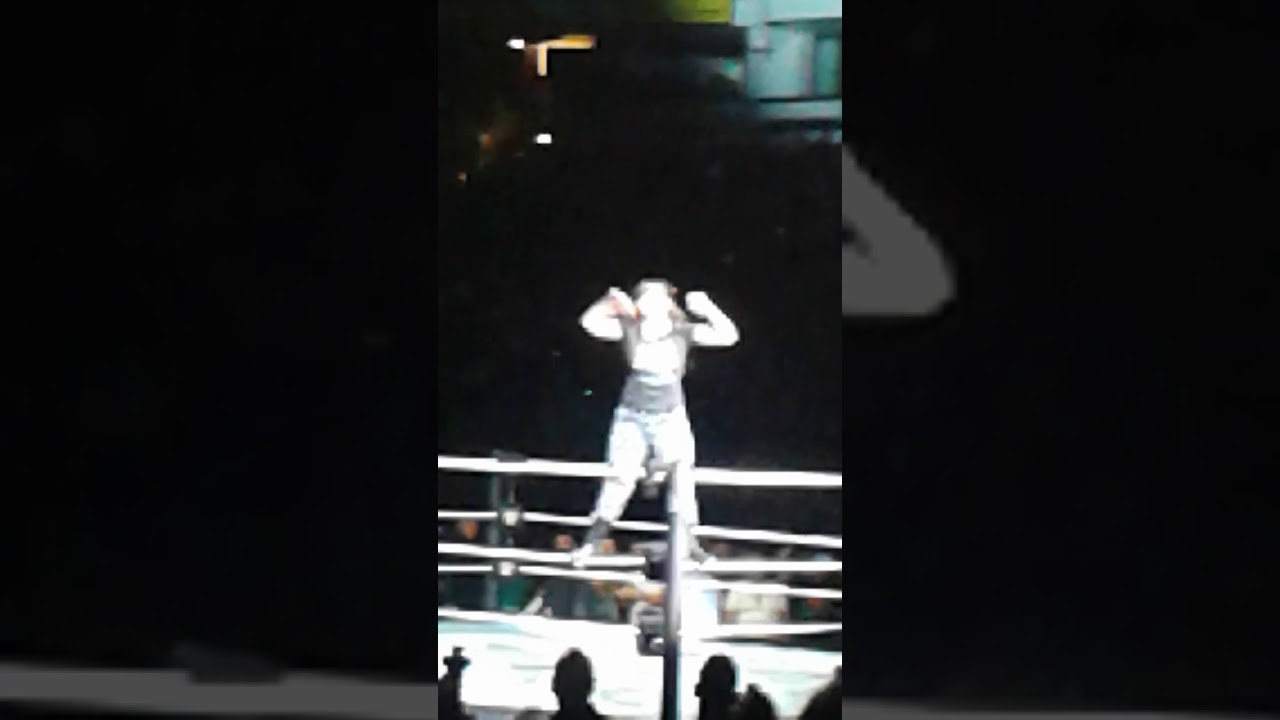 WWE Live 2019 entrada de Niki Cross - YouTube
