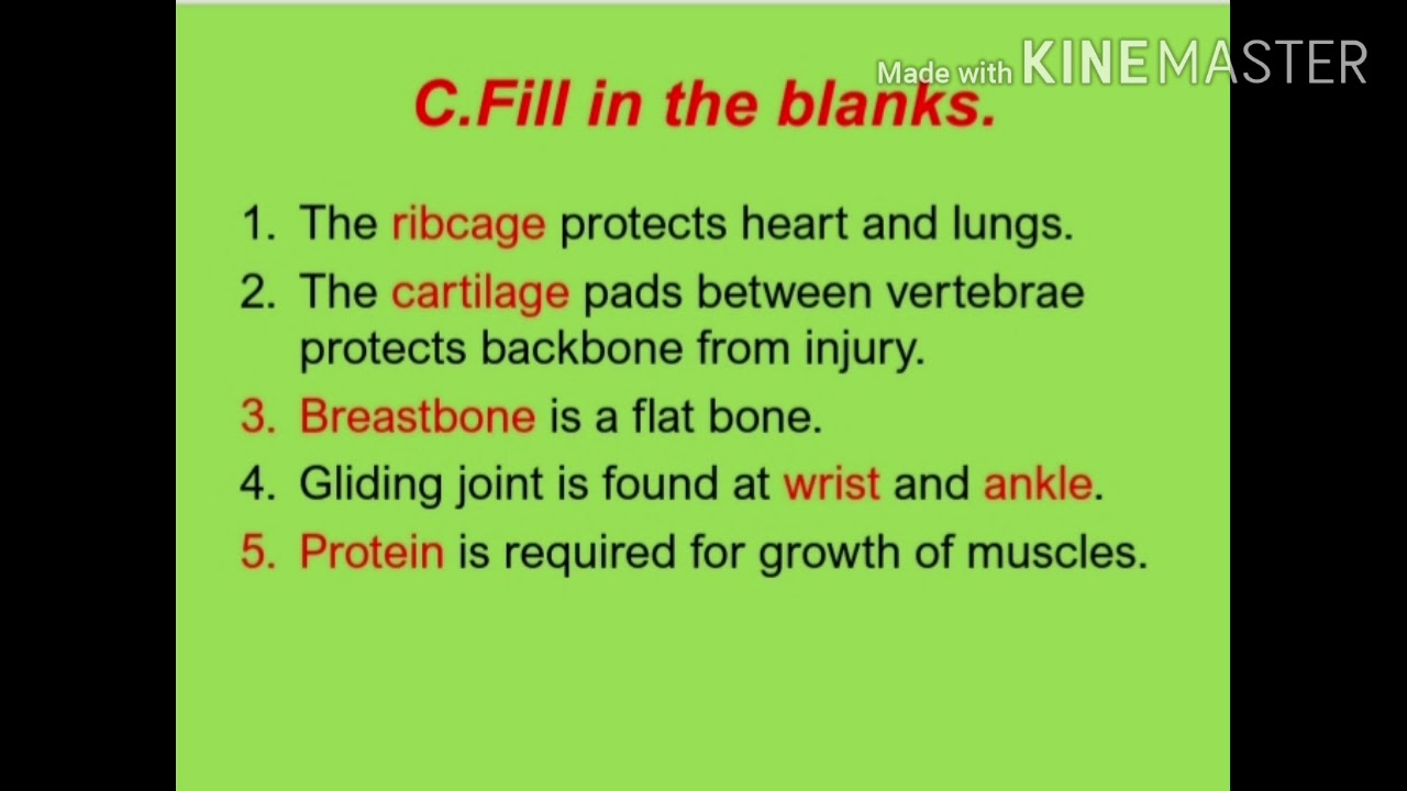 Class 5, The Skeleton System Part 2 720p - YouTube