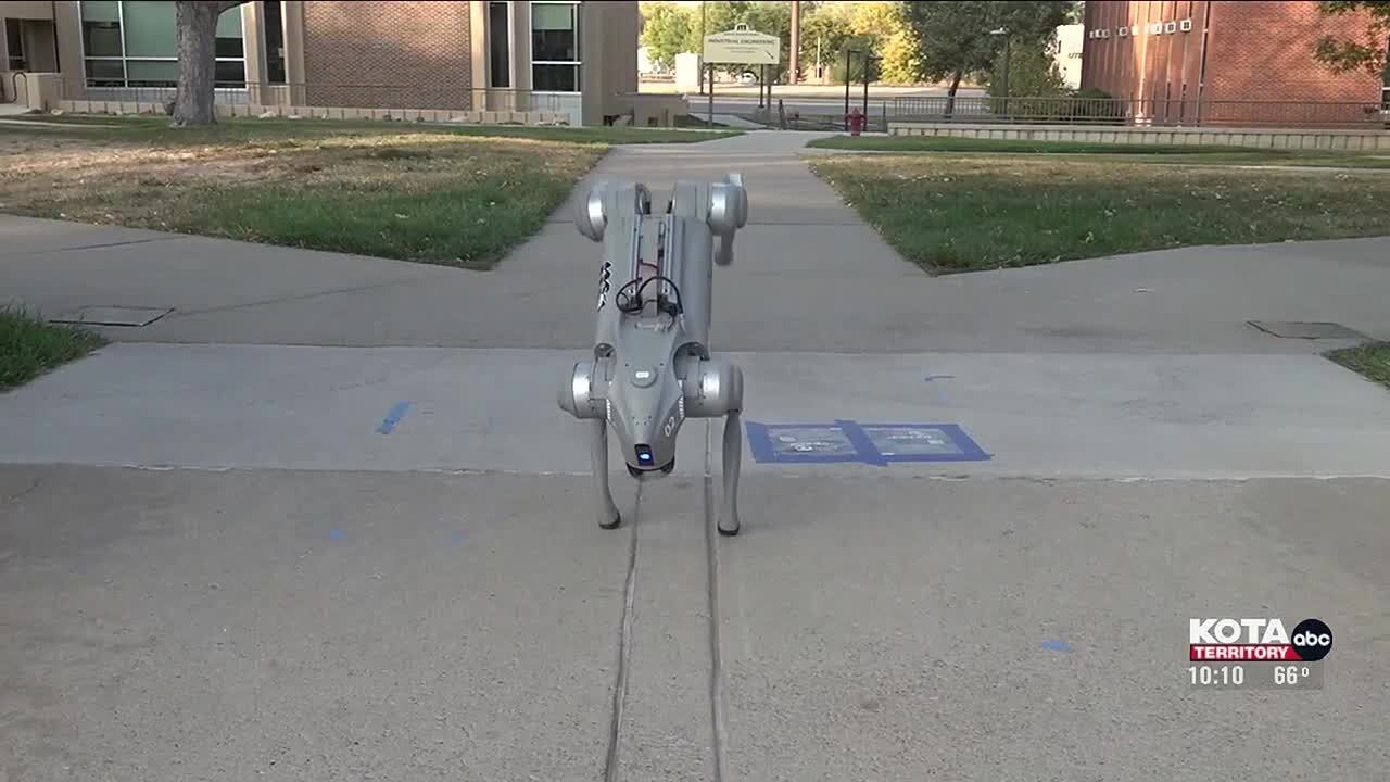 Astro the robot dog advances mechanical engineering education at South ...