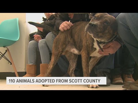 Over 80 animals adopted from Humane Society of Scott County last ...