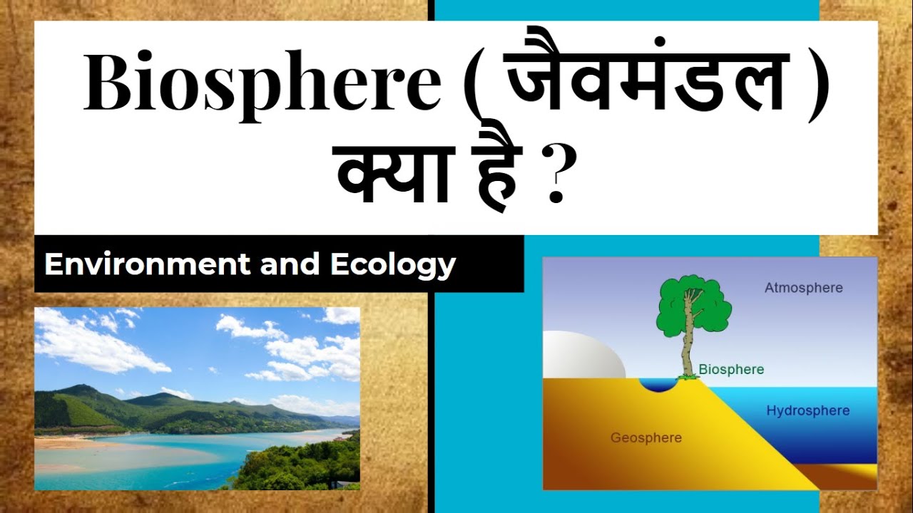 What is Biosphere? जैवमंडल क्या है? UPSC UPPSC UPSSSC SSC - YouTube