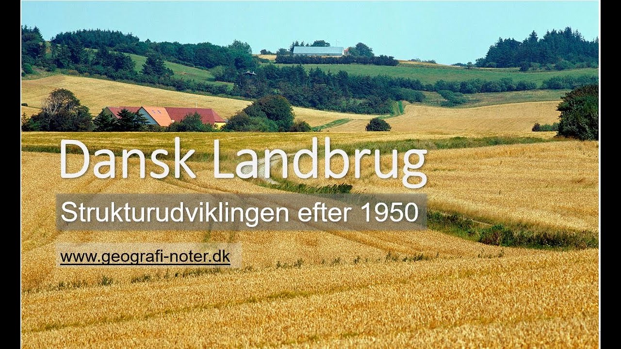 Strukturudviklingen i dansk landbrug 1950 2020 - YouTube