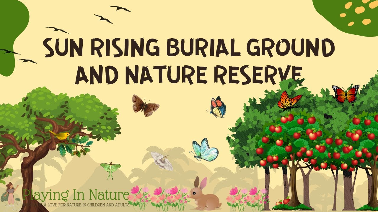 Sun rising burial ground and nature reserve - YouTube