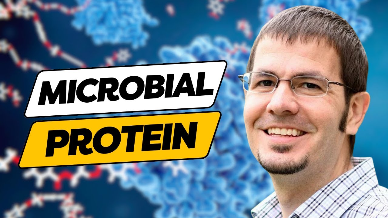 Dr. Timothy Hackmann: Milk Fat Depression Solutions - YouTube